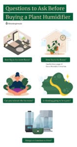 Complete Guide to Use a Humidifier for Houseplants - Bloomsprouts